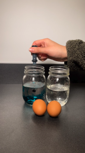 Science Experiment - Rubber Egg Experiment - The Young Inventor's Club